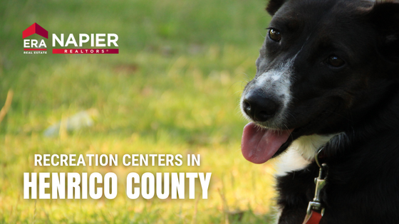 Posts from September 2022